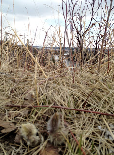 Resistance is futile. Love is the answer. | Dare Boldly