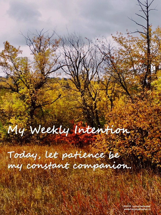 Let patience be my constant companion | Dare Boldly