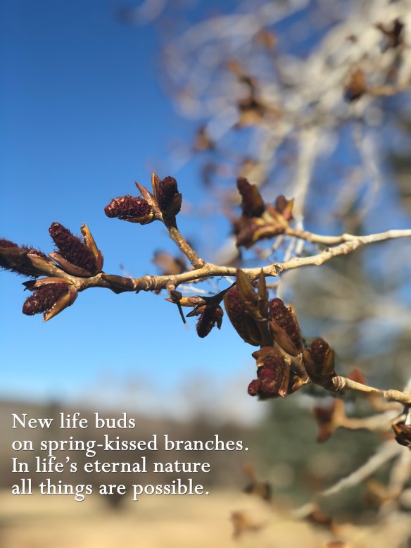 Life’s Eternal Nature | Dare Boldly