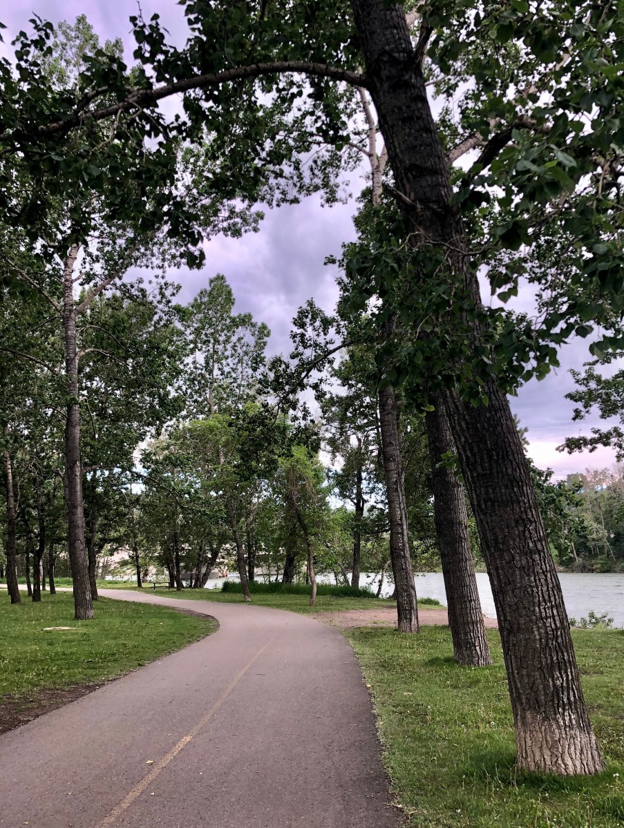 How To Surrender Fear | Dare Boldly