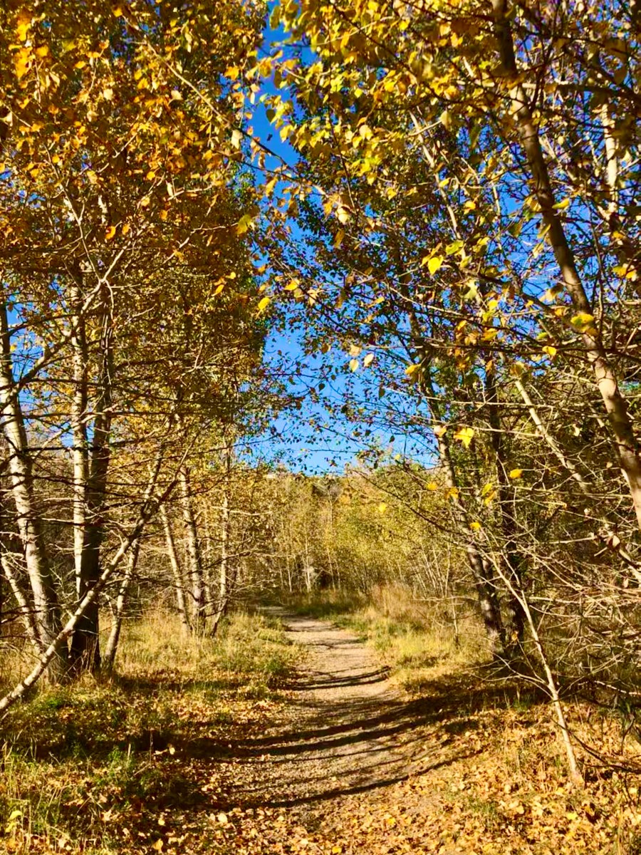 Fall Deeper | Dare Boldly