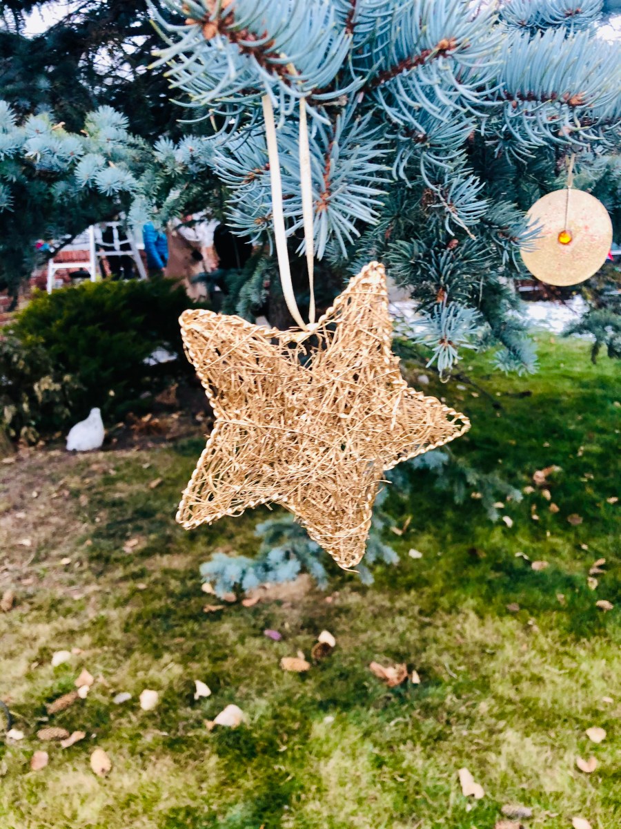 Welcome, The Season Of Joy. | Dare Boldly