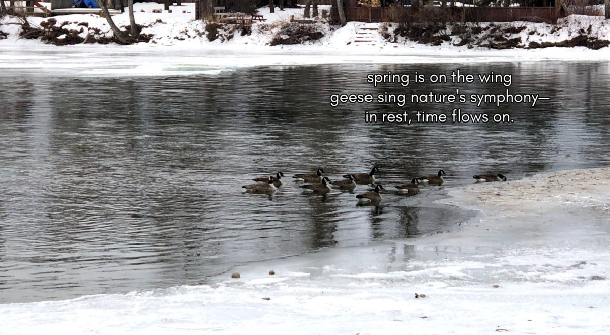 Saturday Morning Haiku – Homage to Omar Khayyam | Dare Boldly